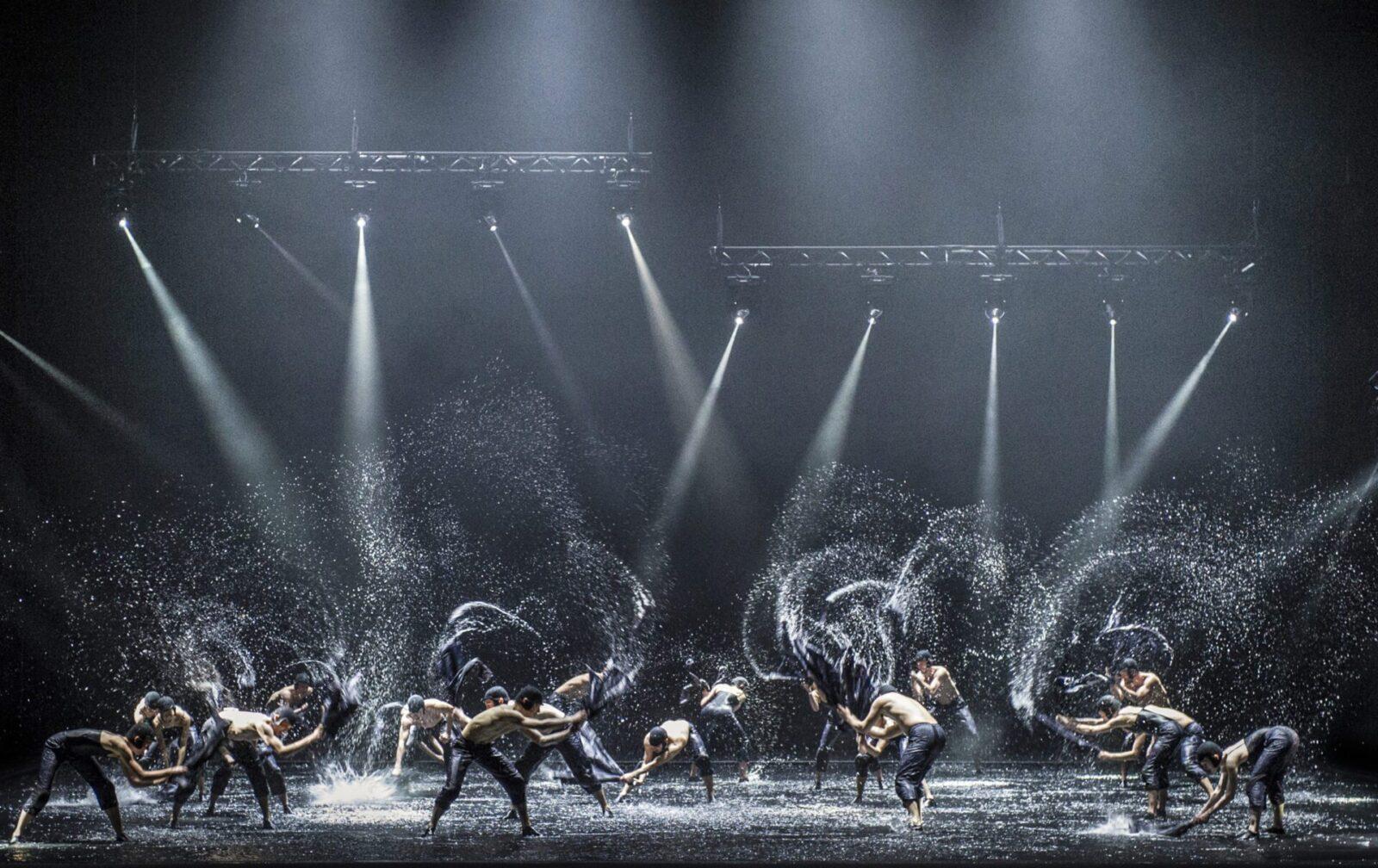 Swan Lake | Dance | videotanz